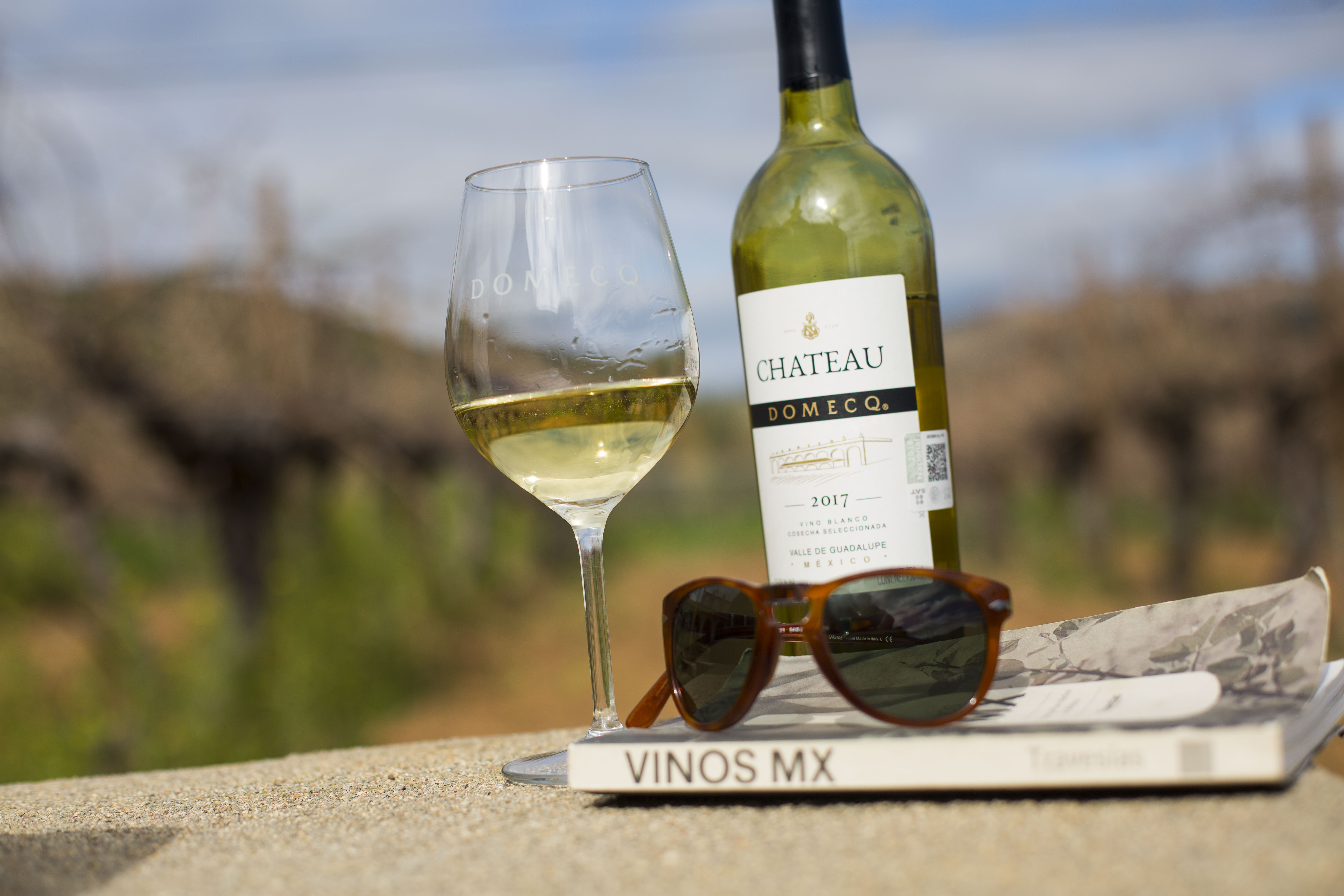 Llegó la primavera… ¡Y nos merecemos un buen vino! - CoreCulinario