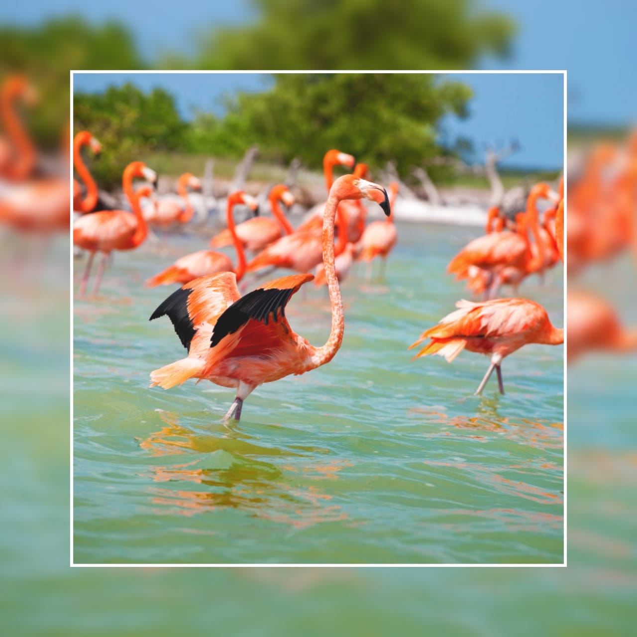 La costa Yucateca, el secreto mejor guardado de la Península para ...