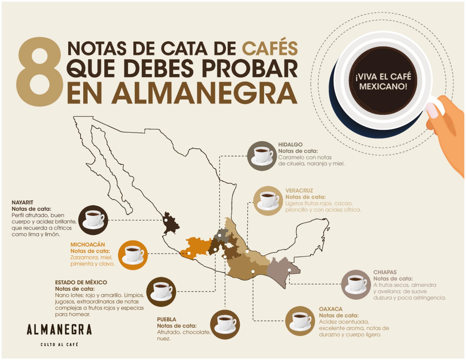 8 notas de cata de cafés que debes probar en Almanegra ¡Viva el café ...