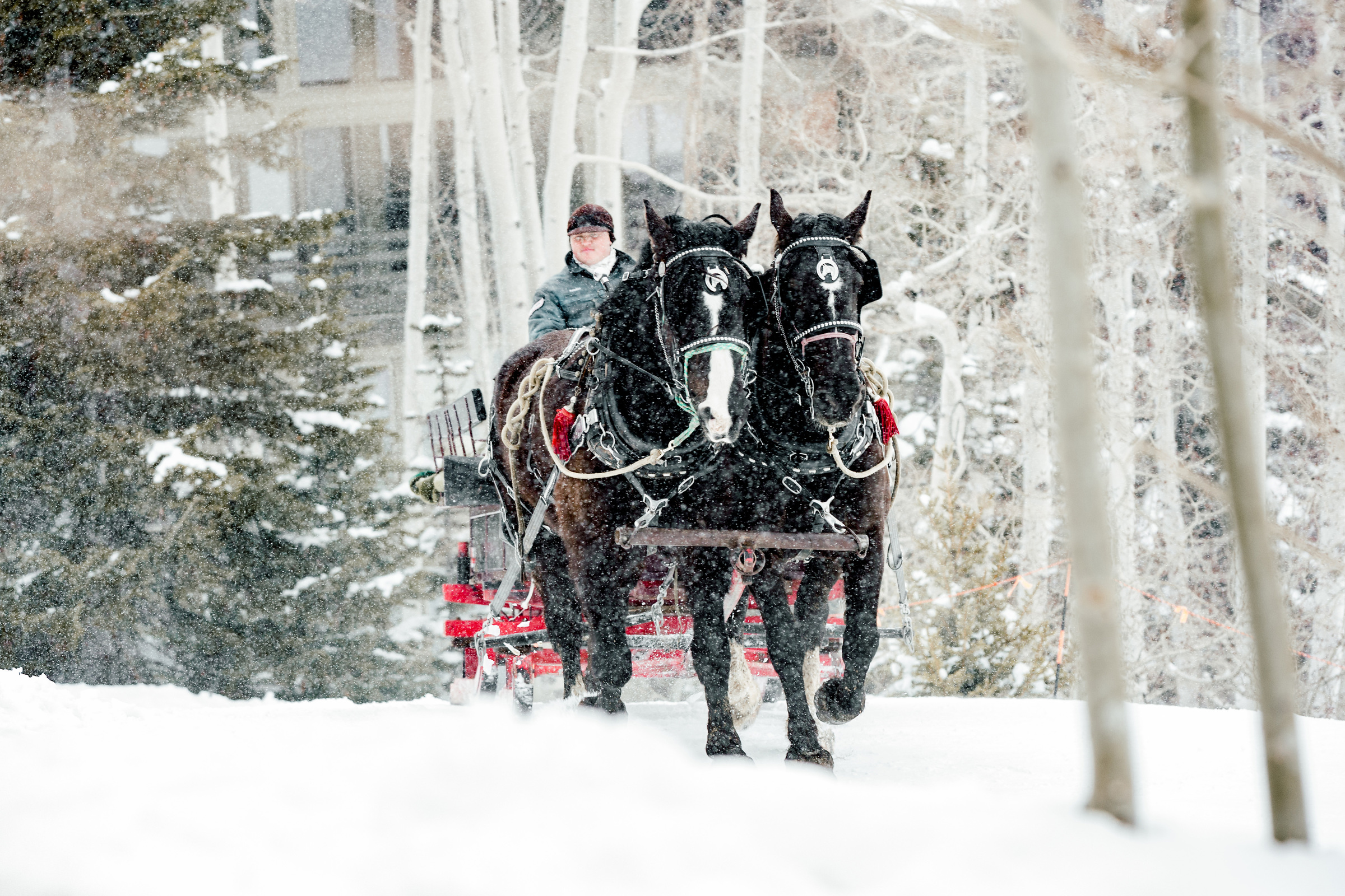 Navidad en Park City, Utah. El destino imperdible para los amantes de ...