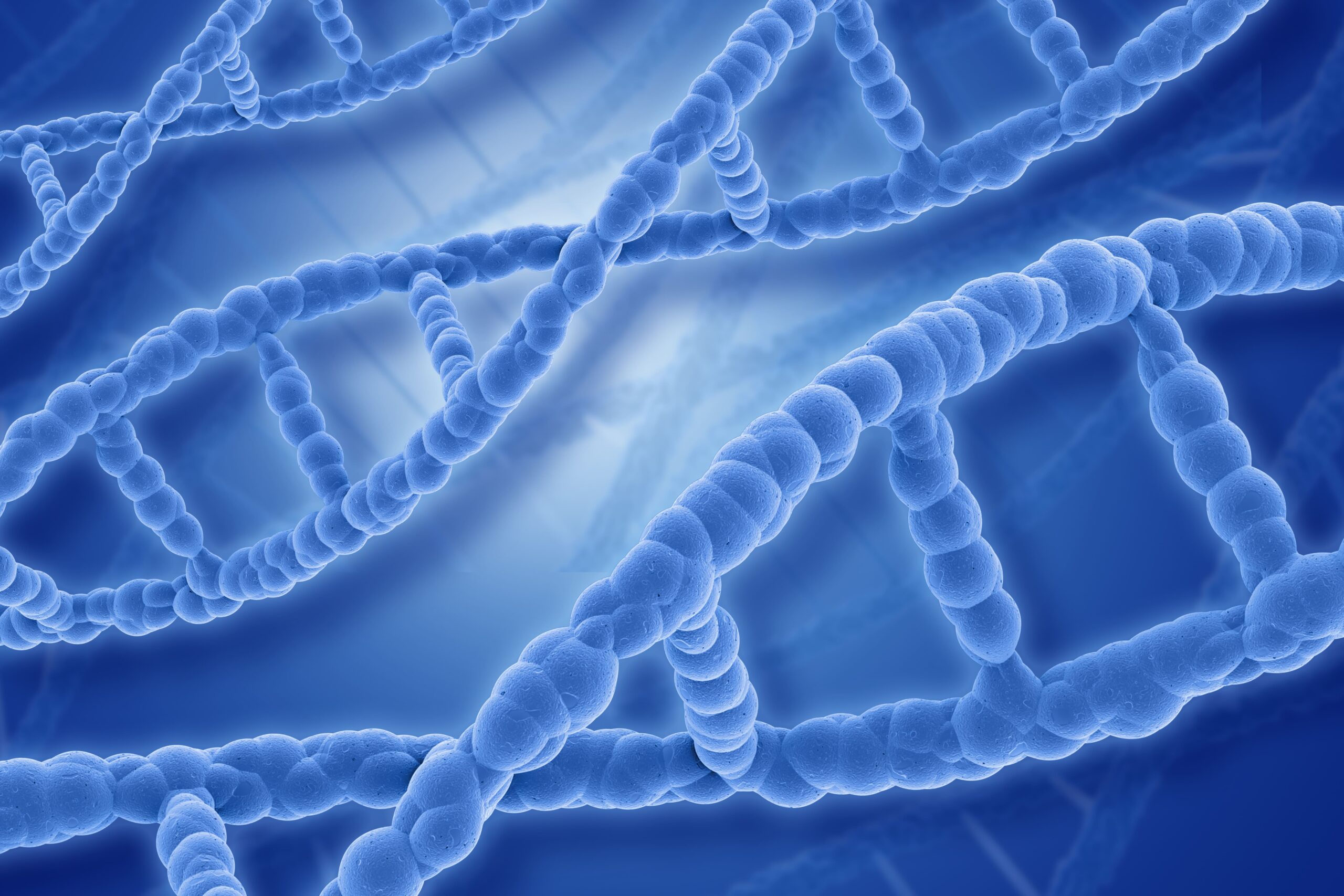 Genes y algo más - CoreCulinario