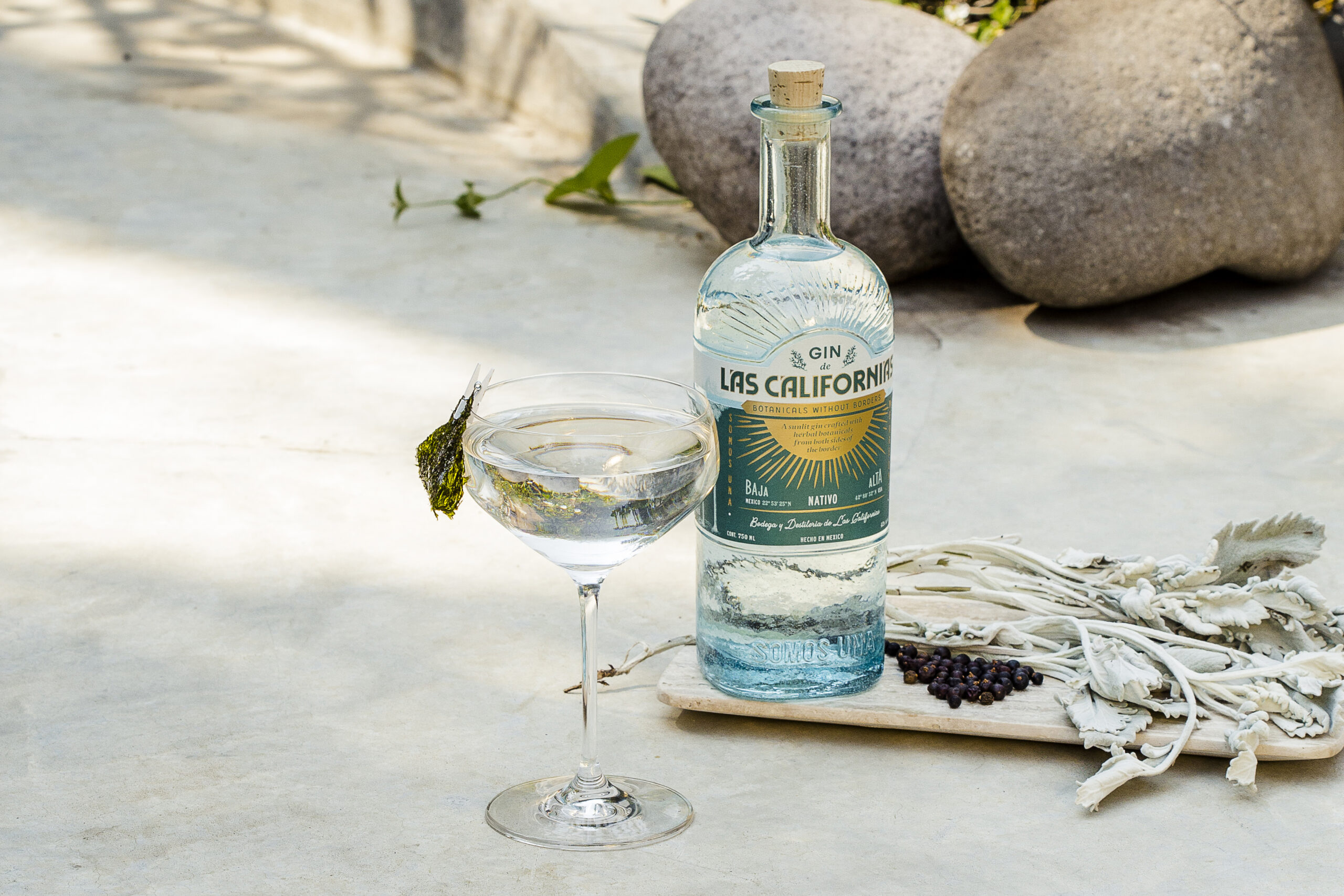 Kelp Martini, el coctel perfecto para dar la bienvenida a la primavera ...