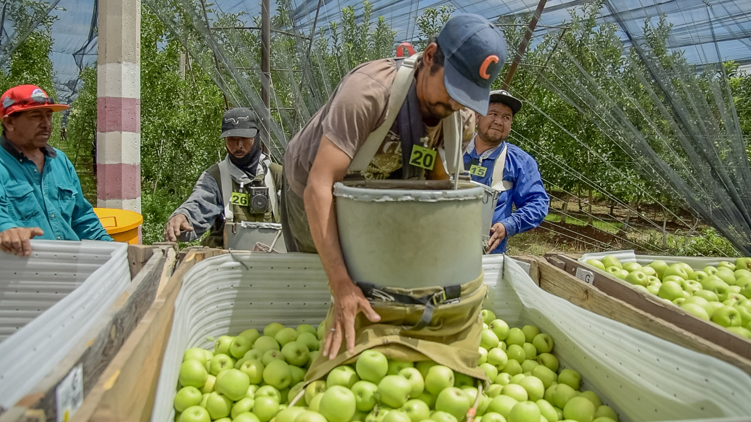 México en España: Delisana es reconocida por Fruit Today - CoreCulinario