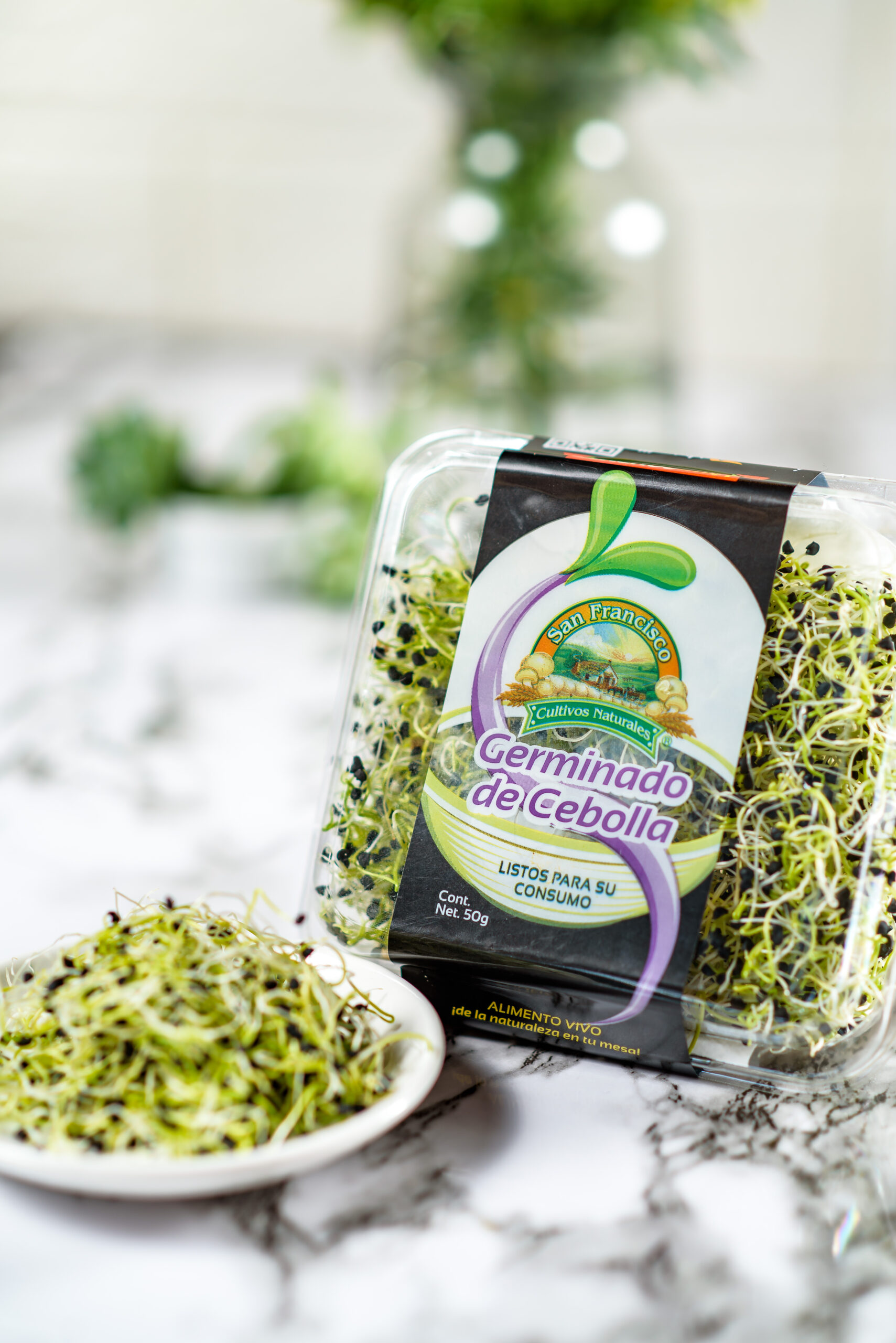 ¡Nutrición todo el año consumiendo germinados! - CoreCulinario