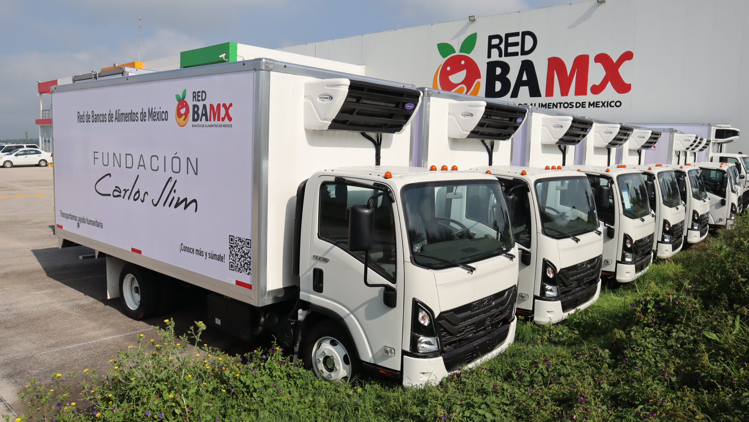 Red BAMX y Fundación Carlos Slim: una alianza que alimenta esperanza en ...