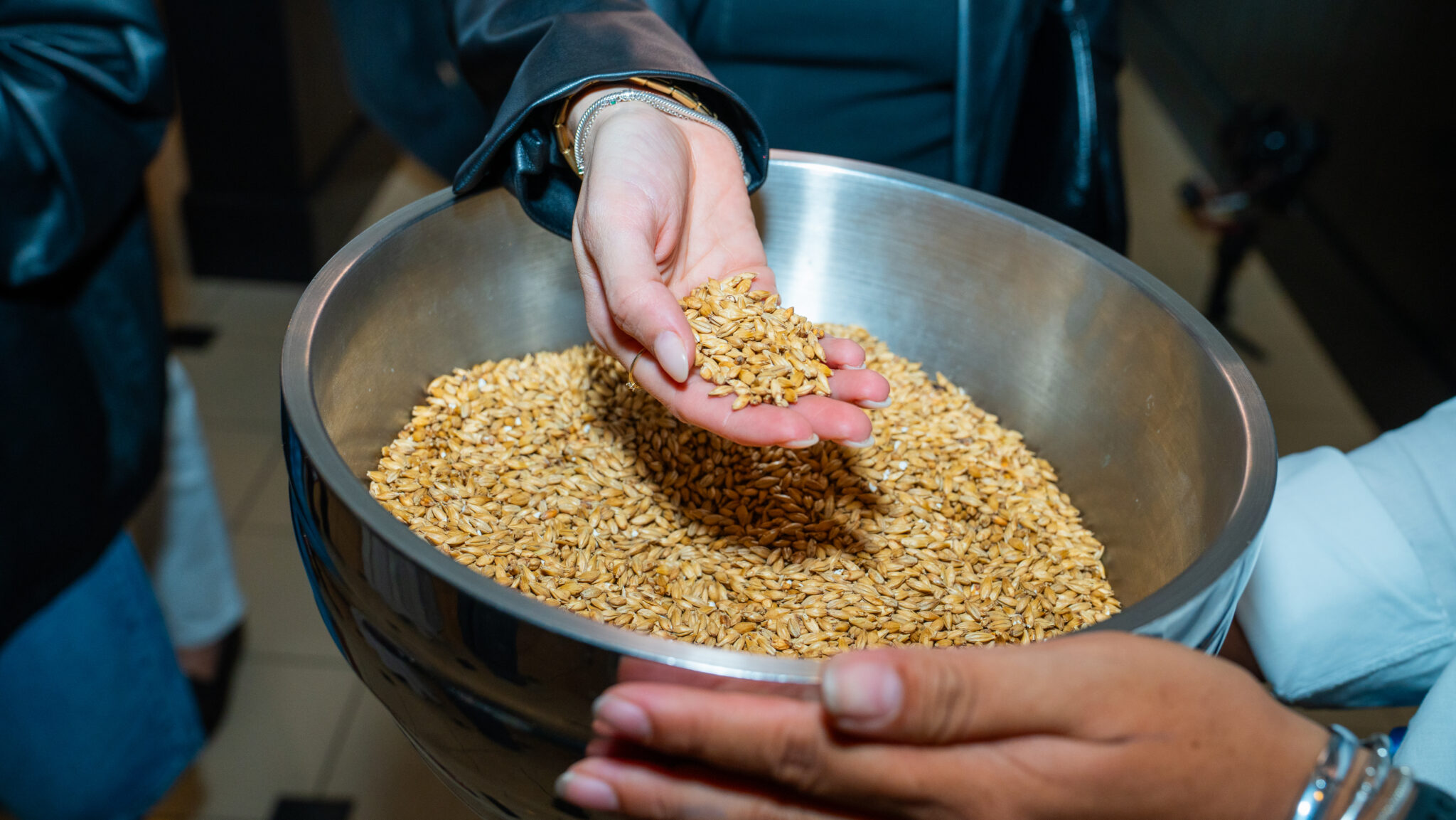 El poder de la malta: el grano que define lo que significa una cerveza ...
